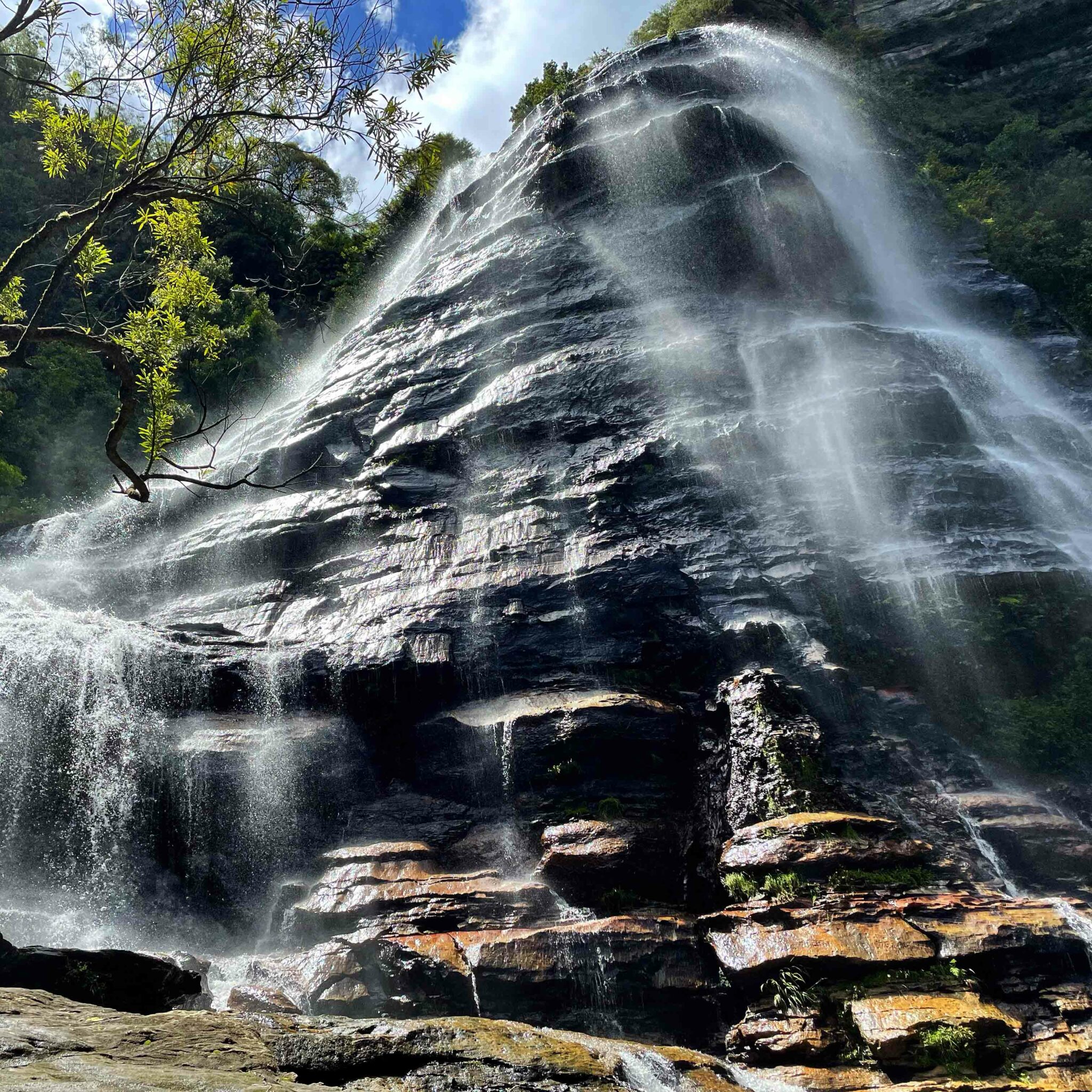 Leura Infinity Pool - Plan the pin